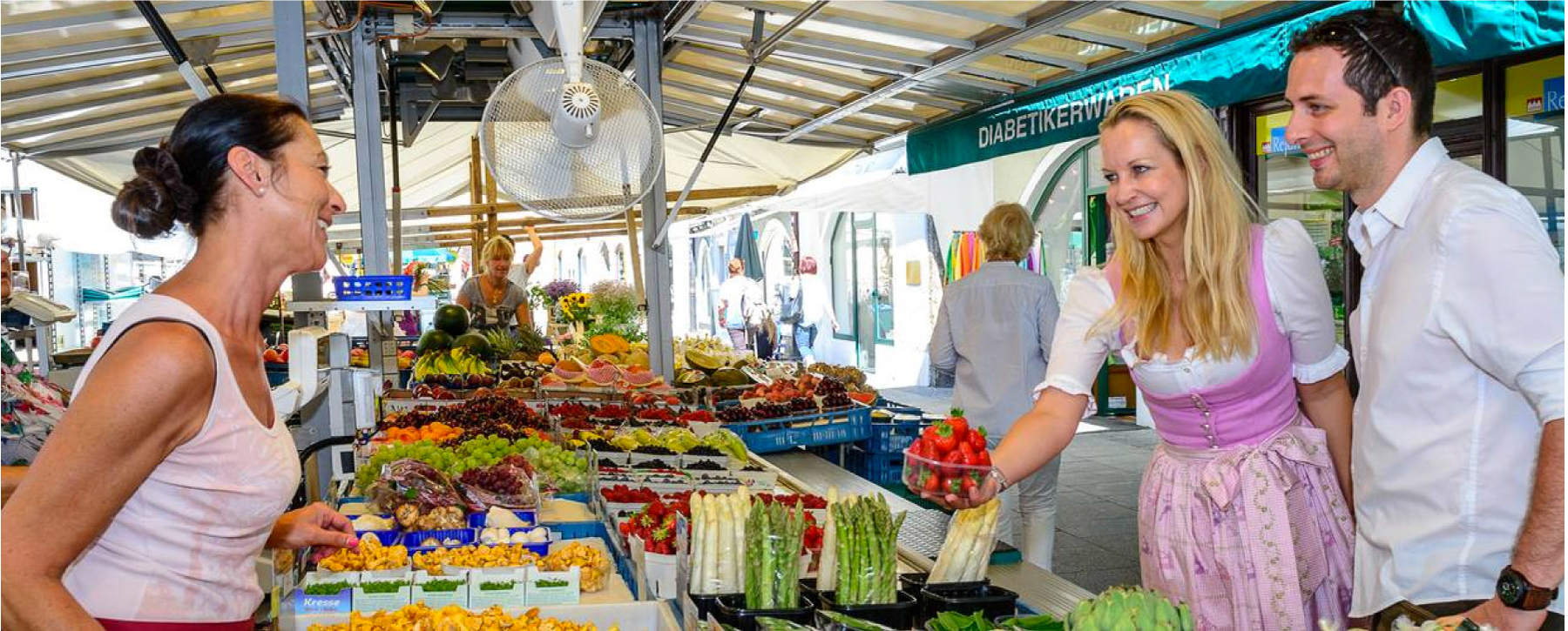 Markt - Offenberger Garten - Baumschule & Gartengestaltung | Haag